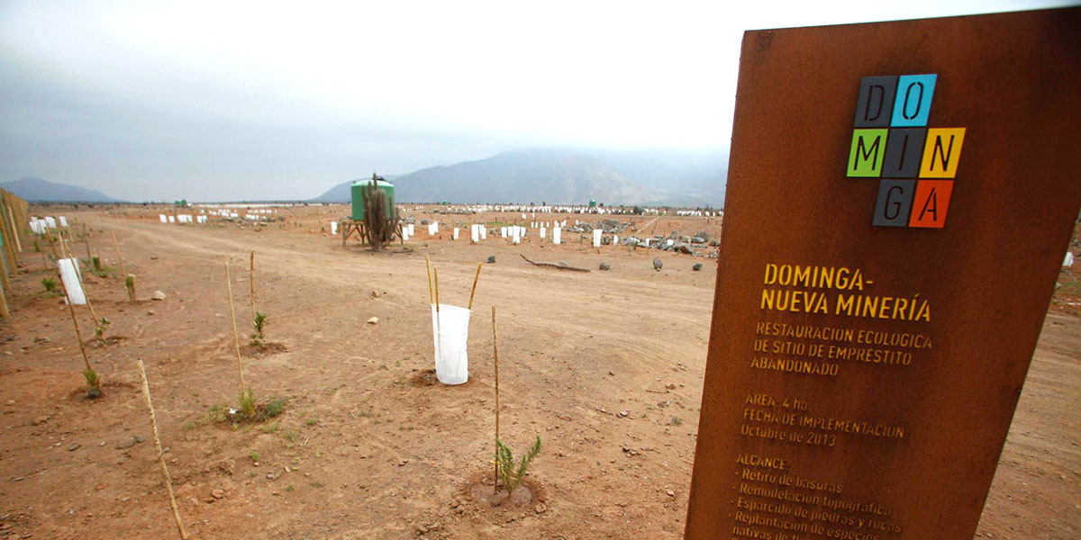 Enero asoma como mes clave para Dominga ante el Comité de Ministros ...